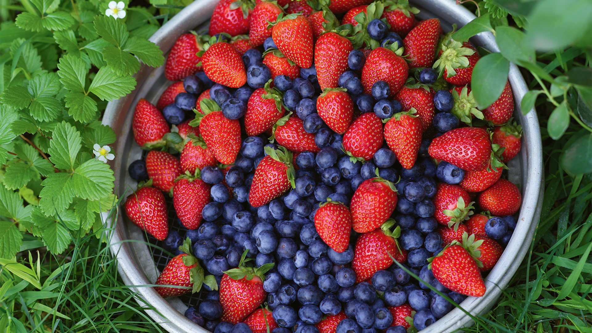 Woolworths - Morayfield Shopping Centre - Your place for shopping and more!