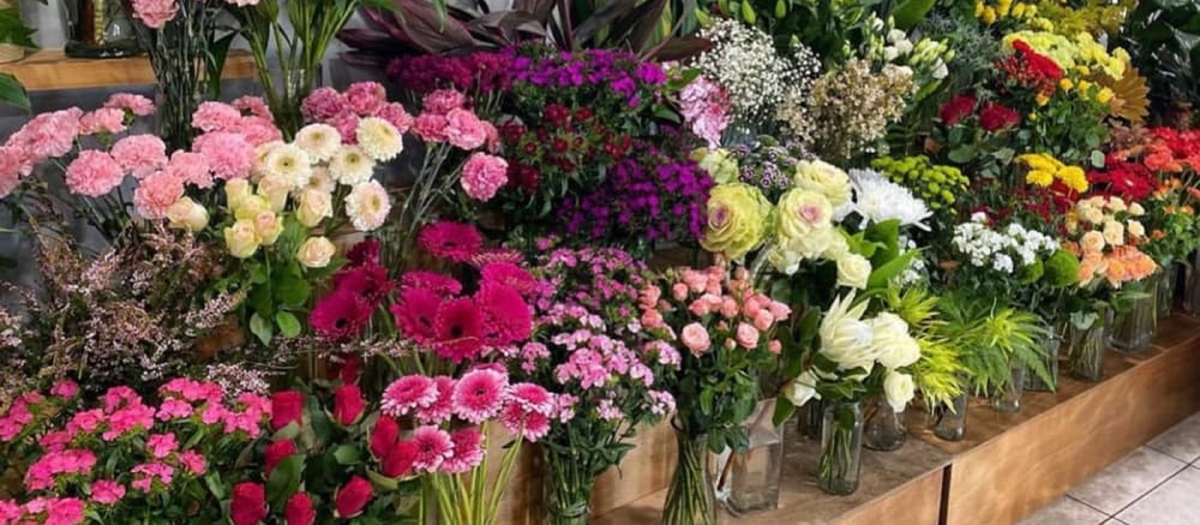 Bright Flowers - Morayfield Shopping Centre - Your place for shopping ...